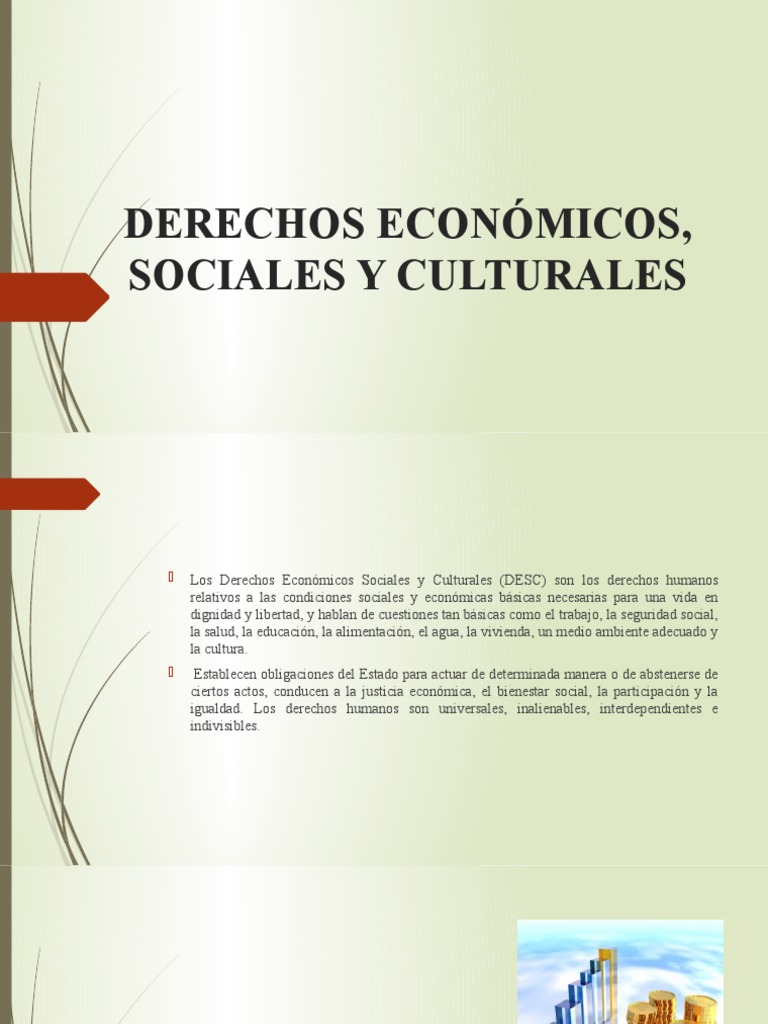 Derechos Culturales | PDF | Igualdad social | Instituciones sociales