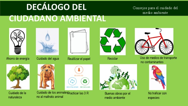 Decálogo Del Ciudadano Ambiental Pdf