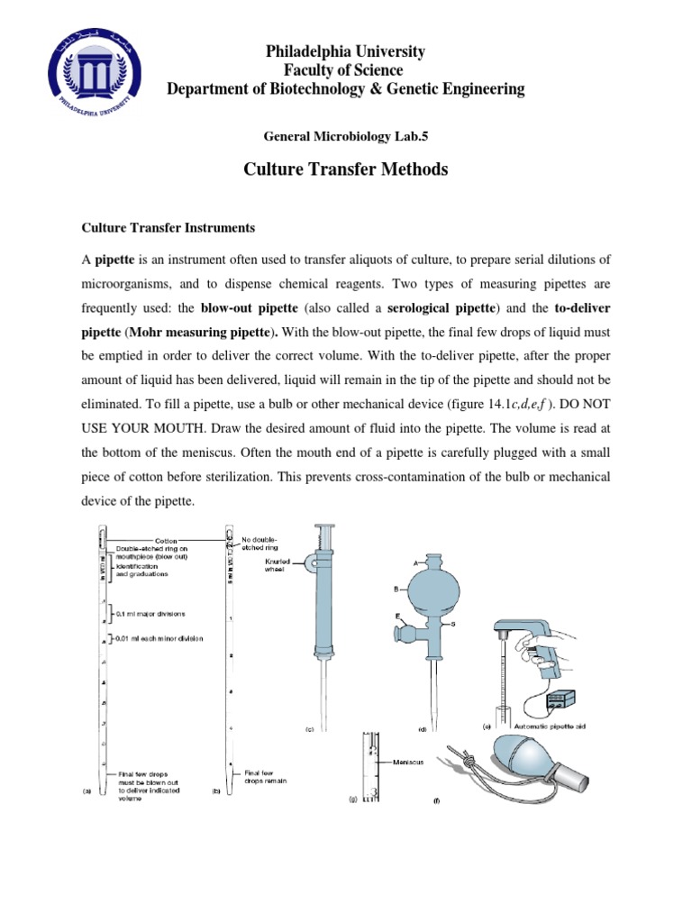 Pure Culture and Plating Technique | PDF | Growth Medium | Biology