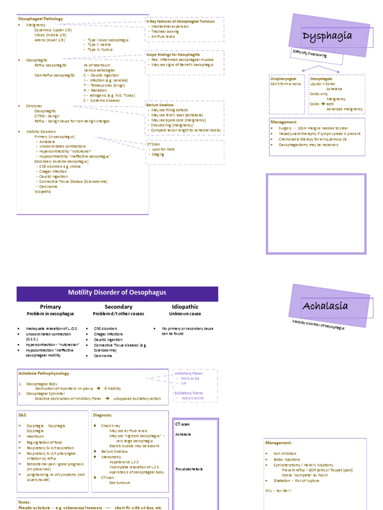 Upper GIT | PDF | Esophagus | Bile