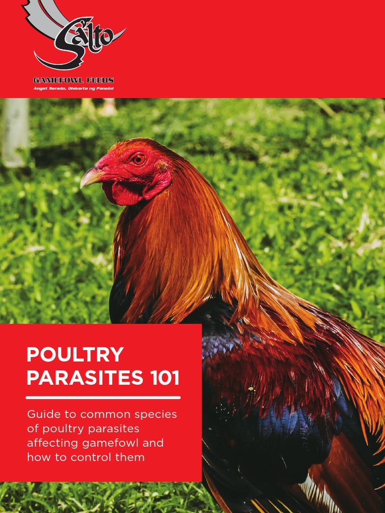 Poultry Parasites 101 Brochure - Final | PDF | Animal Diseases ...