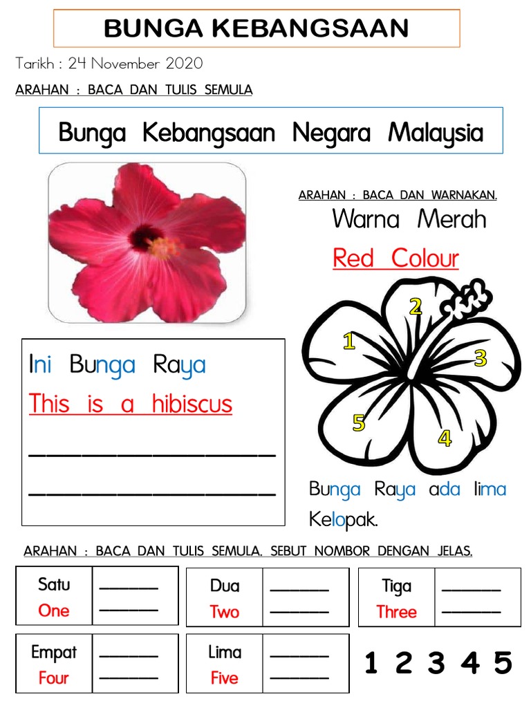 Worksheet on Bunga Raya Malaysia | PDF | Home & Garden | Technology & Engineering