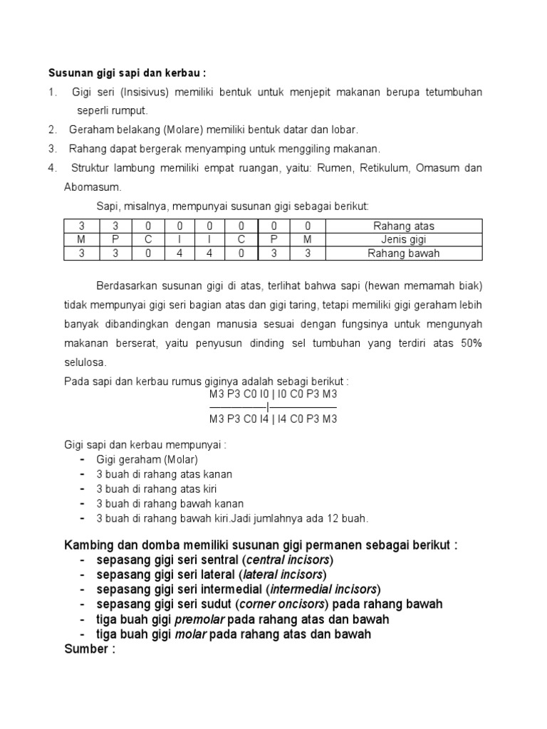 Susunan Gigi Sapi Dan Kerbau | PDF