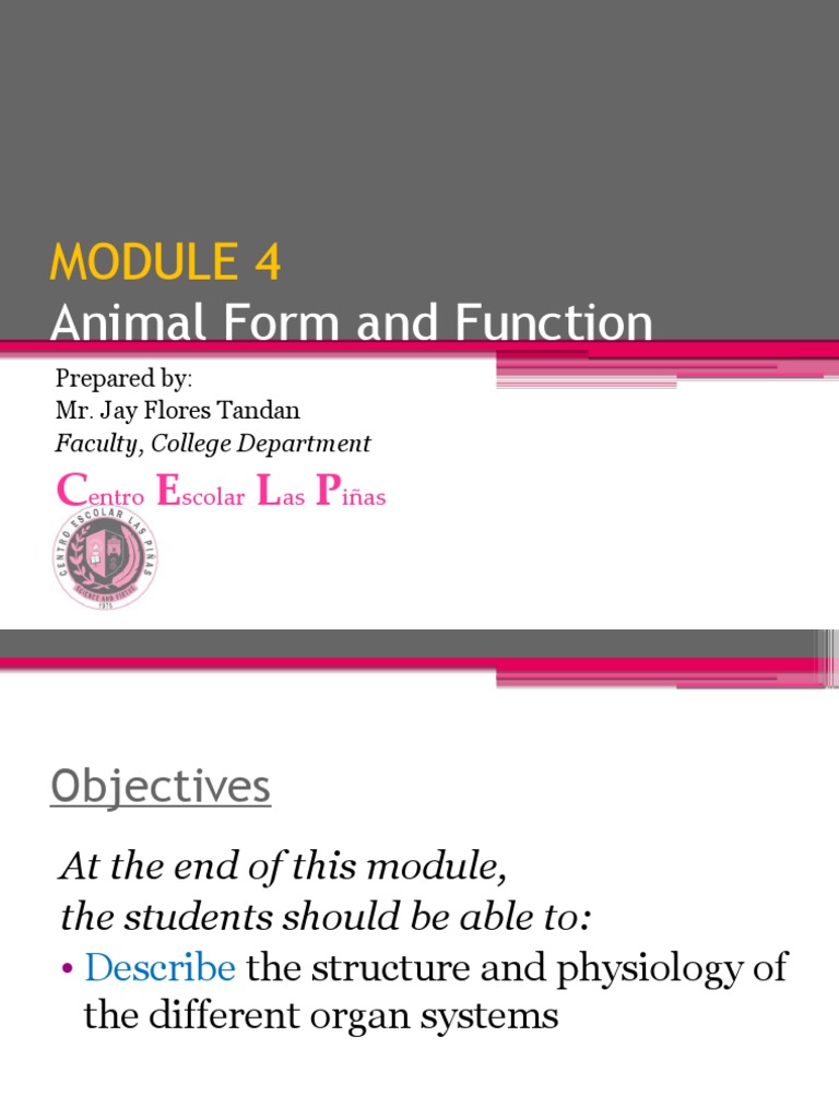 Animal Form and Function: C E L P | PDF | Integumentary System | Skeleton