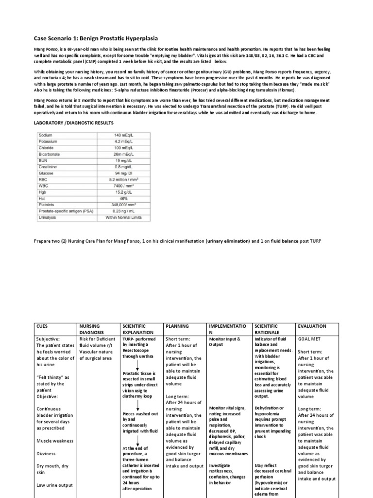 Nursing Care Plan for Benign Prostatic Hyperplasia | PDF | Catheter ...