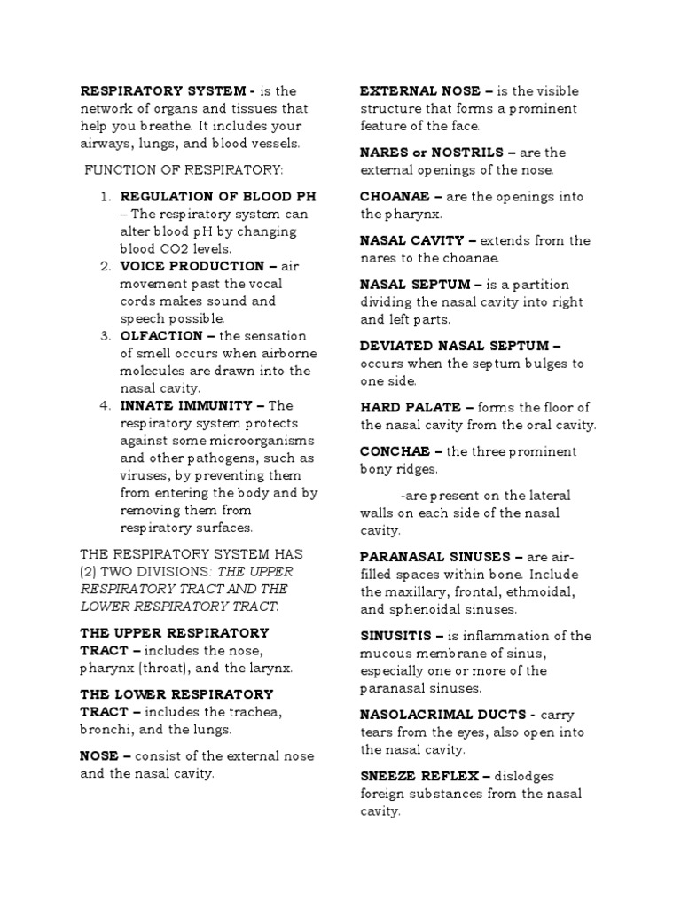 Respiratory System Reviewer | PDF | Respiratory Tract | Lung
