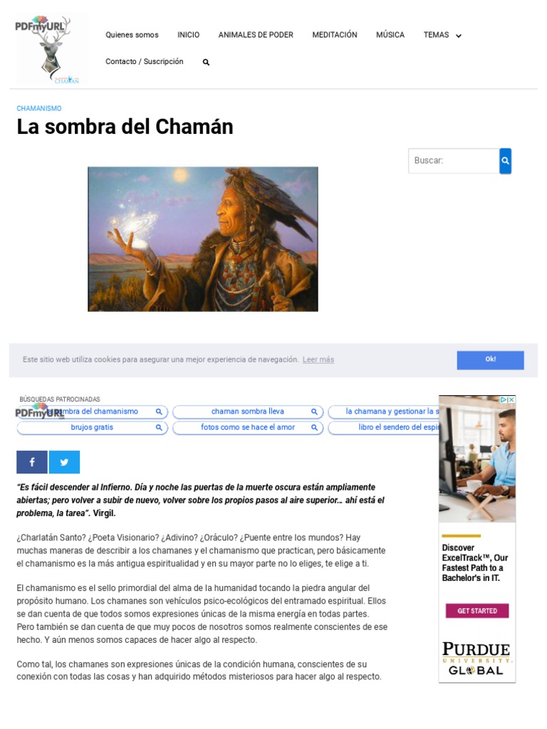 La Sombra Del Chaman | PDF | Chamanismo | Alma