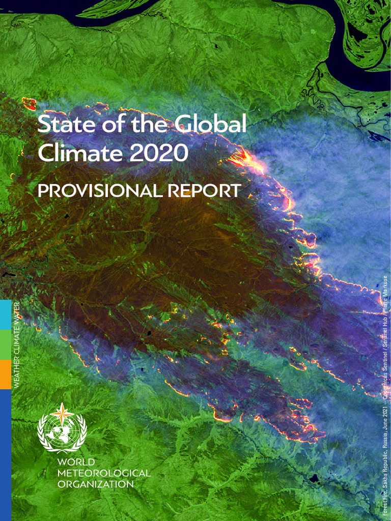 Global Climate Report 2020 Insights | PDF | Ozone Depletion ...