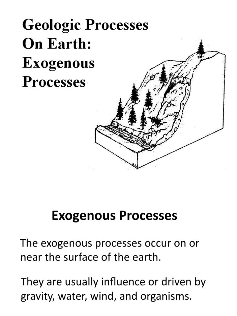 Geologic Processes-Exogenous Processes | PDF | Weathering | Erosion