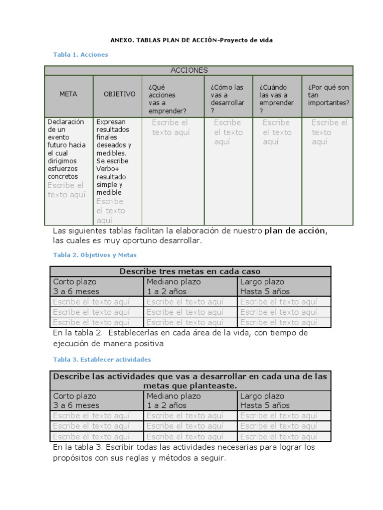 Reto 4 Tablas Plan de Acción | PDF | Cognición | Business
