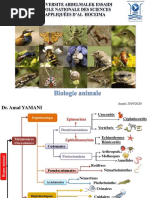 COURS L1 Metazoaire | PDF | Anatomie | Biologie