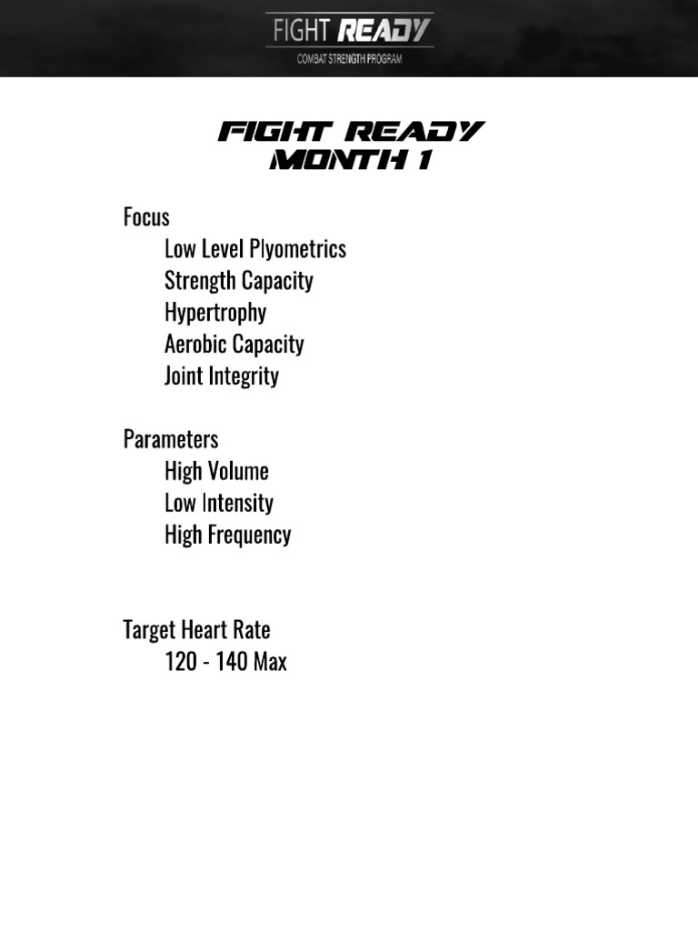 Fighters Phase 1 | PDF