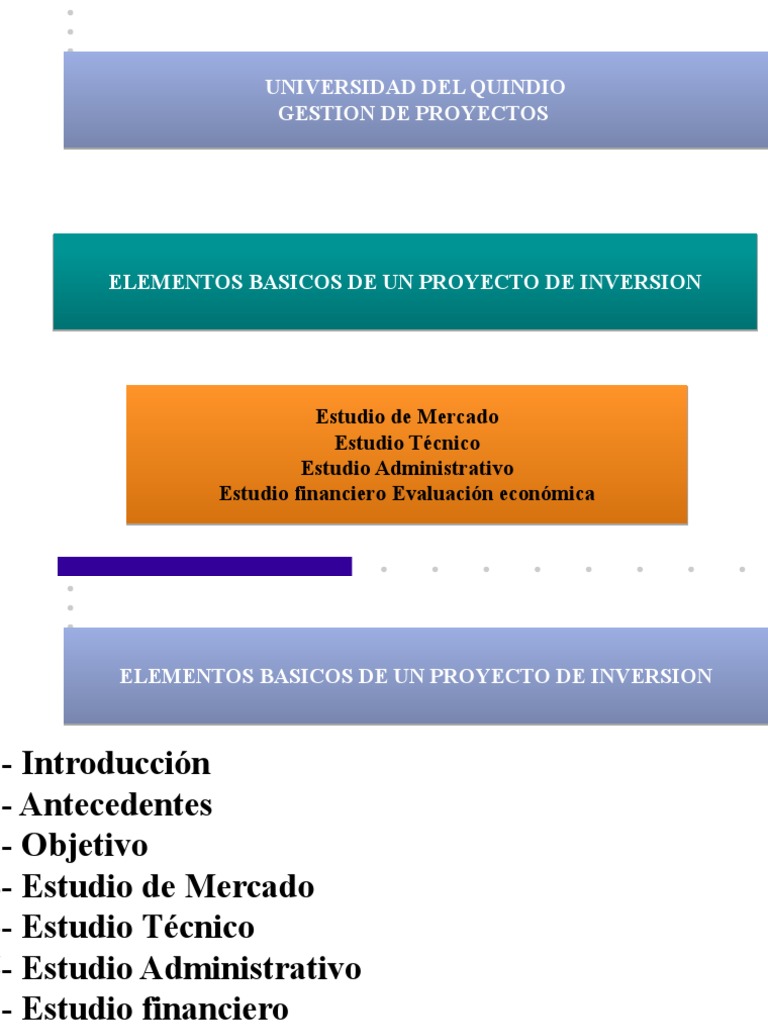 Elementos Basicos de Un Proyecto de Inversion | PDF | Valor presente neto | Mercado (economía)