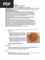 The 4 Box Method - Practical Approach | PDF | Medical Ethics | Informed ...