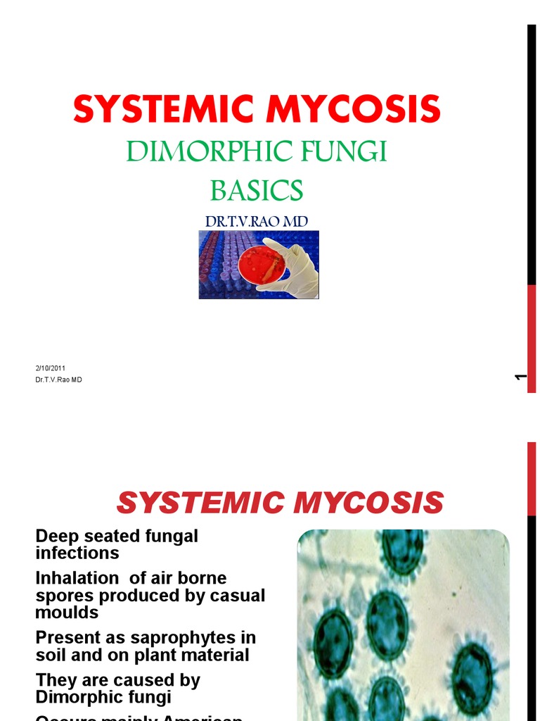 Systemic Mycosis | PDF | Fungus | Microbiology