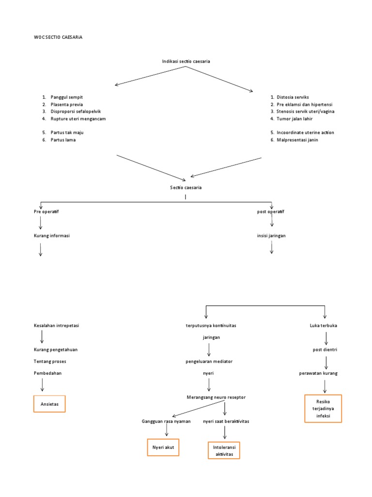 WOC SECTIO CAESARiA | PDF