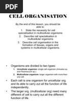 Plant and Animal Organ System and Their Functions | PDF | Human Body ...