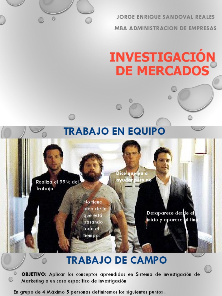 Trabajo de Campo | PDF | Investigación de mercado | Marketing