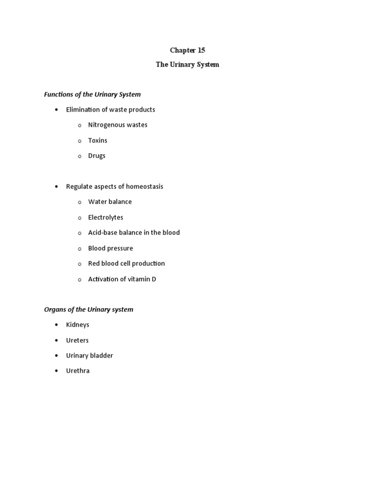 Chapter 15 - Urinary System | PDF