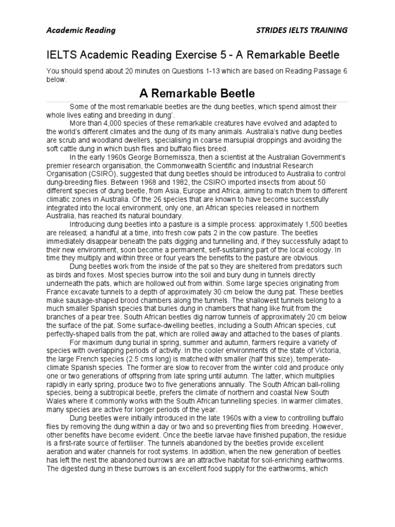 IELTS Academic Reading Exercise 5 - A Remarkable Beetle | PDF | Beetle ...