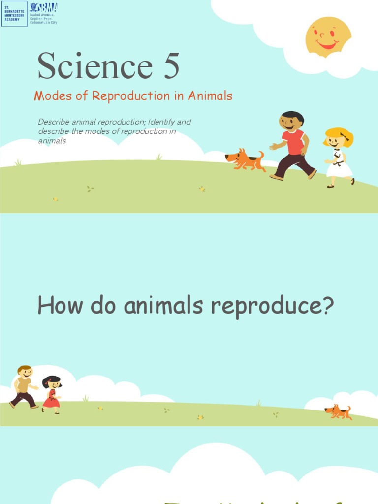 Animal Reproduction Methods: A Guide to Sexual and Asexual Reproduction ...