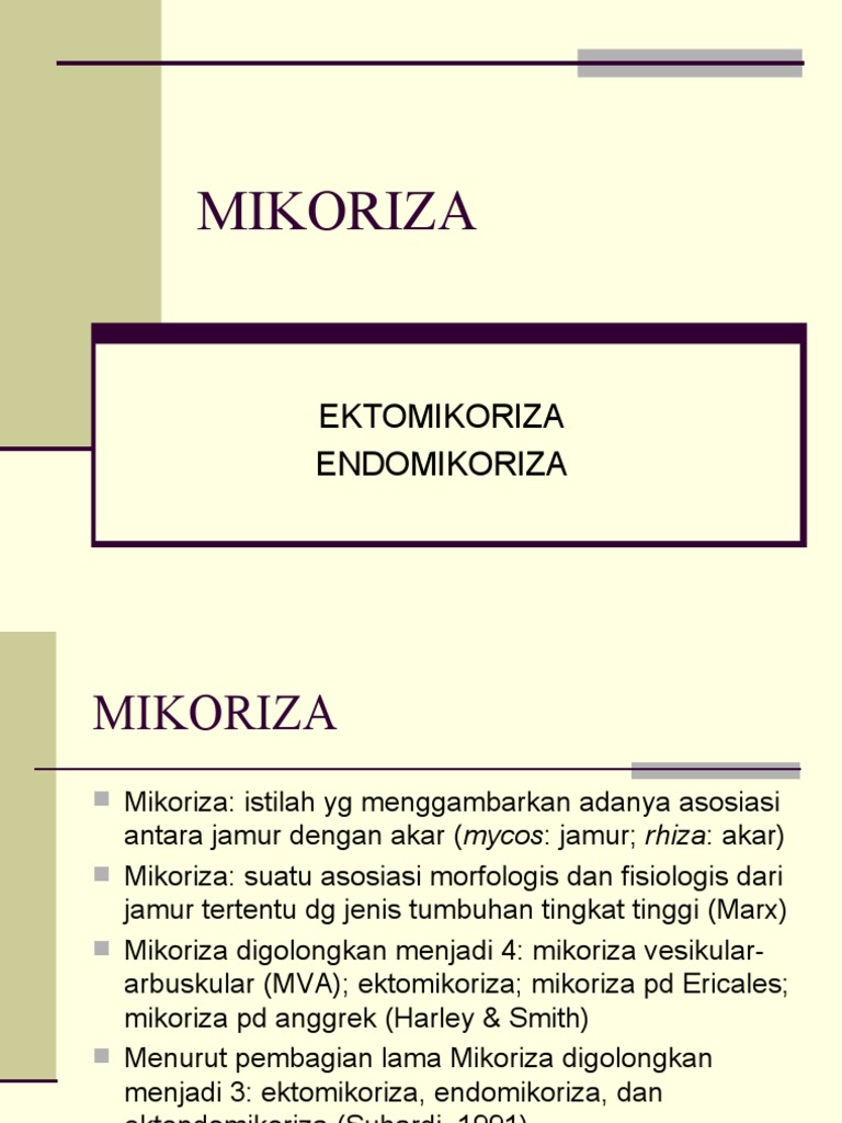 MIKORIZA | PDF