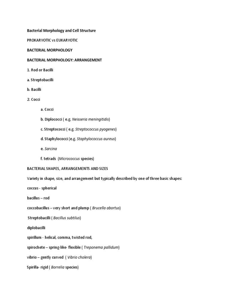 Bacterial Morphology and Cell Structure HANDOUTS | PDF | Bacteria ...