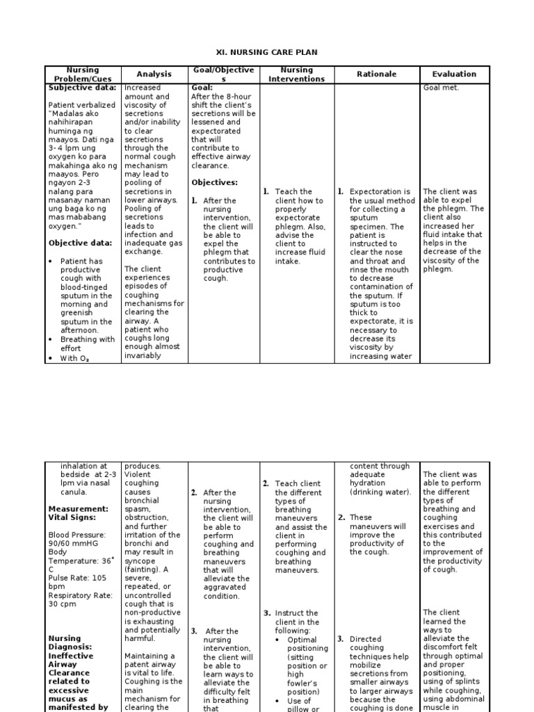 NCP - Ineffective Airway Clearance (Mary Ann Solomon) | PDF | Cough | Respiratory Tract