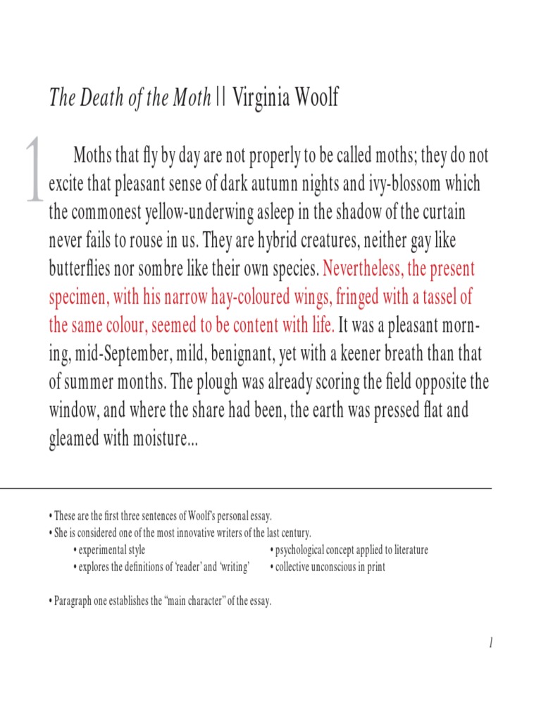 The Death of The Moth, by Virginia Woolf | PDF