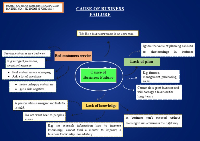Mind Map Cause of Business Failure | PDF