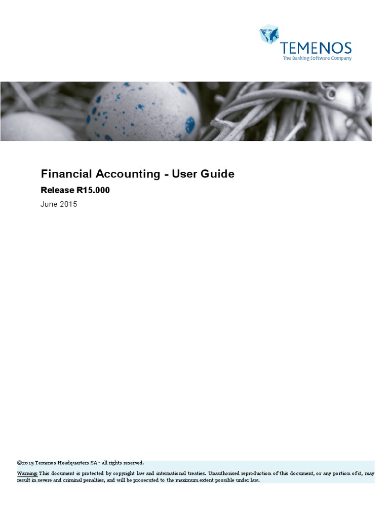 Financial Accounting - User Guide: Release R15.000 | PDF | Balance ...