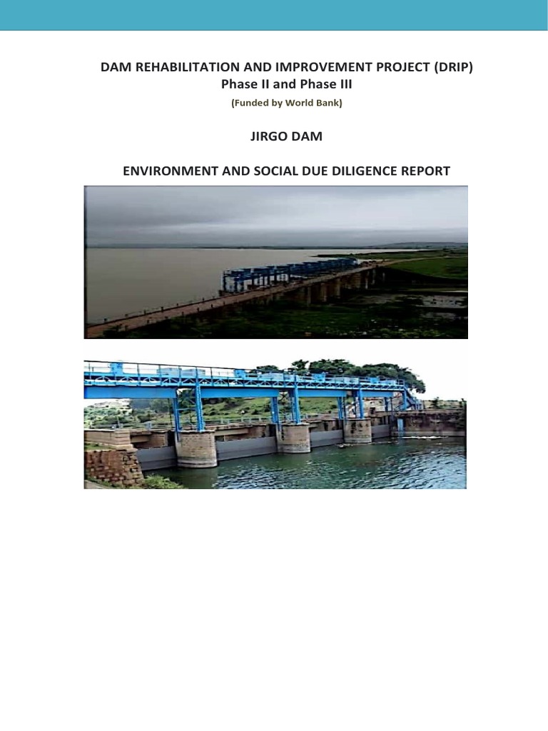 Report On Dams | PDF | Spillway | Dam