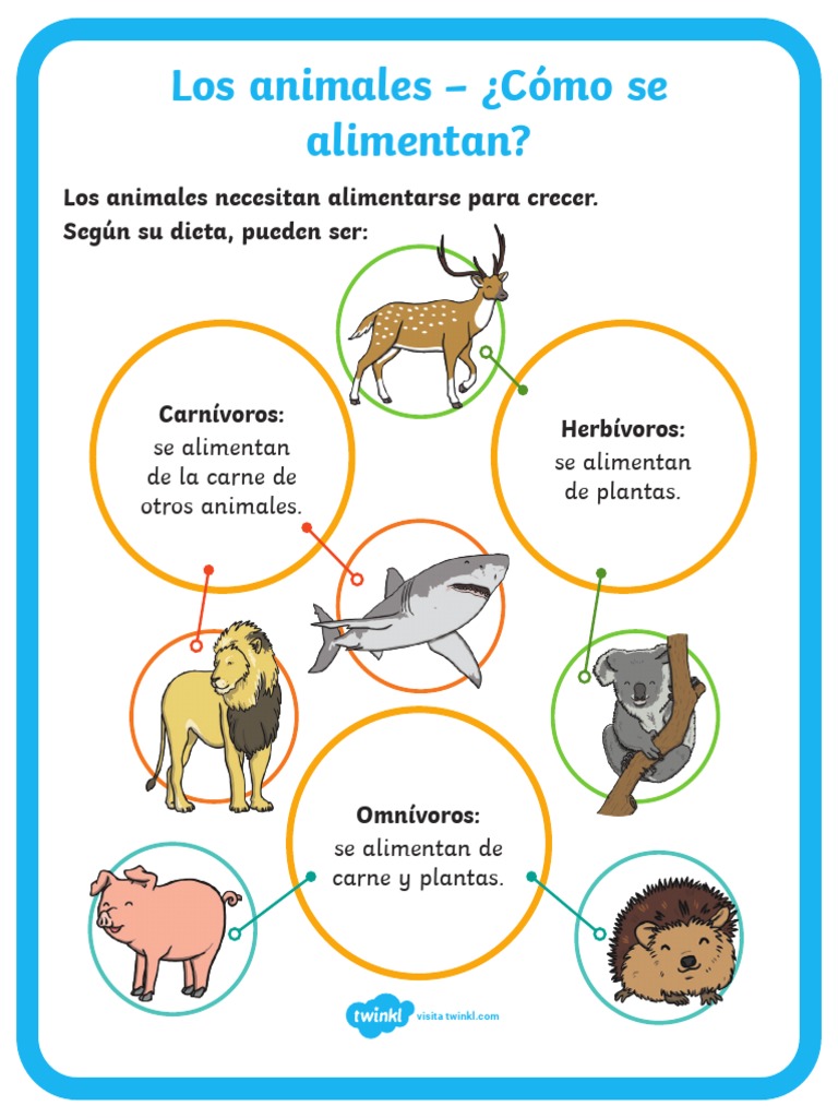 Los Animales ¿Cómo Se Alimentan PDF | PDF | Ciencia y matemáticas