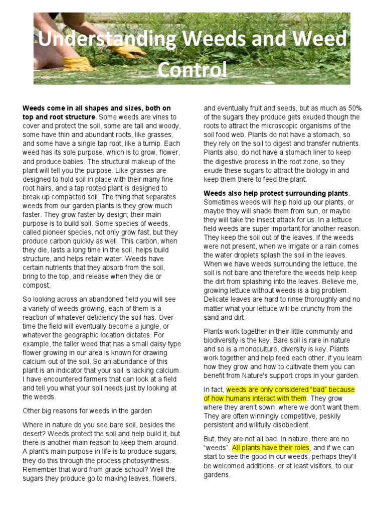 Understanding Weeds and Weed Control | PDF | Weed | Soil