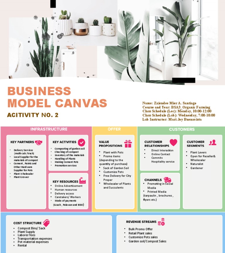 Business Model Canvas | PDF | Business Economics | Marketing