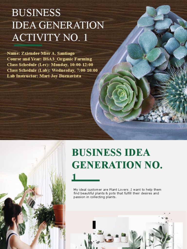 Business Idea Generation | PDF