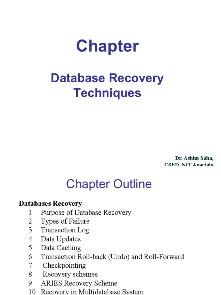 Database Recovery Techniques | PDF | Information Science | Information ...