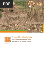 Asexual Reproduction | PDF | Potato | Organisms