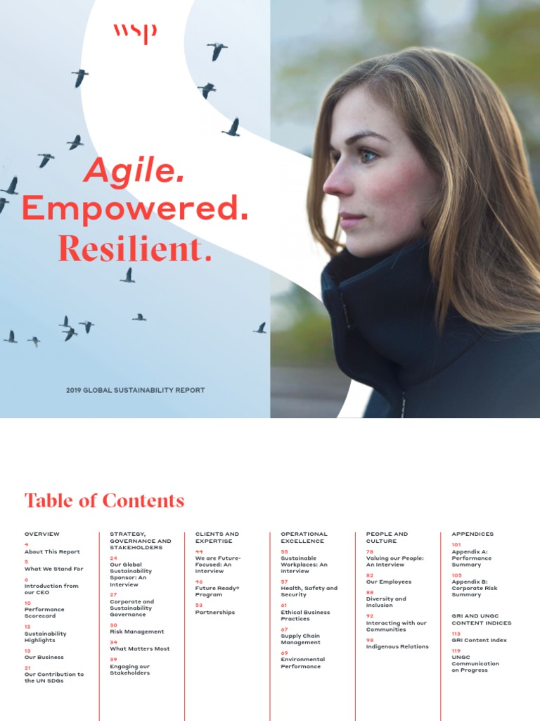 WSP 2019 Global Sustainability Report PDF | PDF | Sustainability | Policy