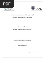 CALCULO DE UREA A PARTIR DE BUN y de BUN A PARTIR DE UREA | PDF