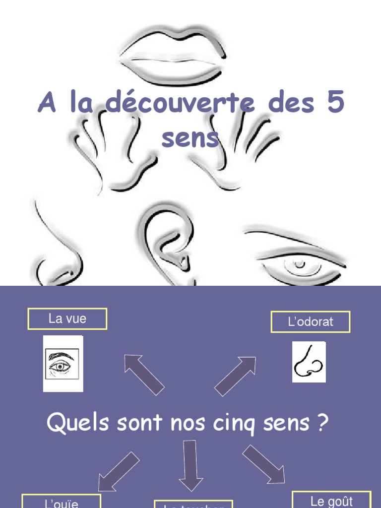 Les Cinq Sens | PDF | Sens (physiologie) | Sens (physiologie)