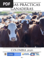 Buenas Prácticas Pecuarias | PDF | Medicamentos con receta | Leche