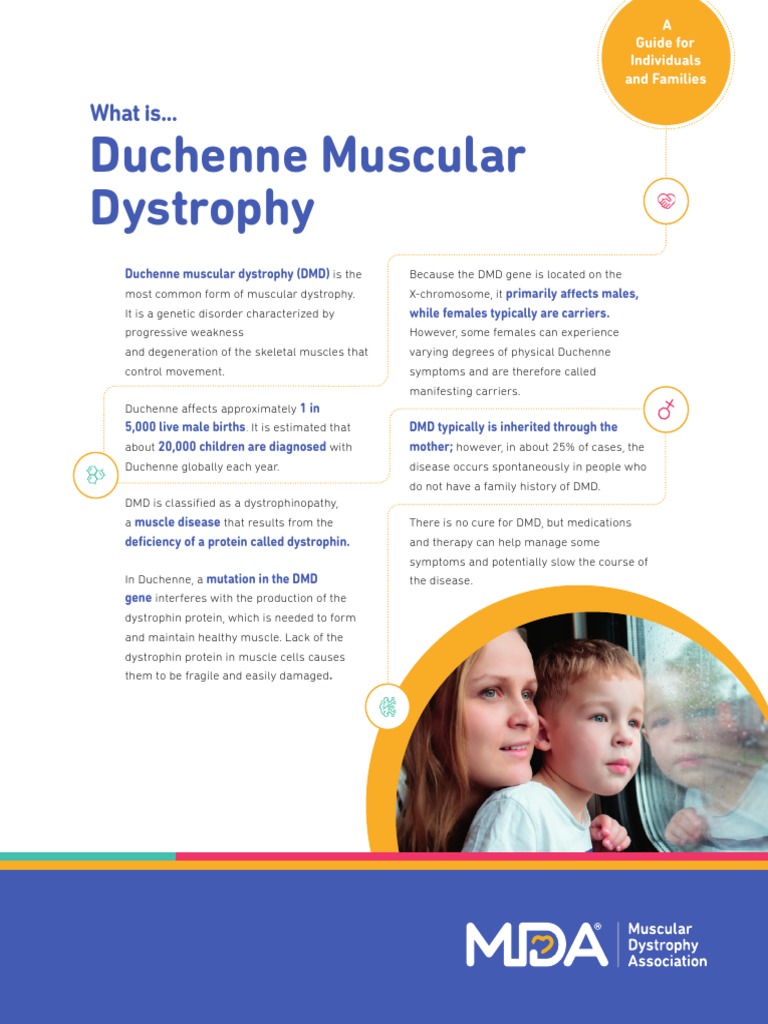Mda DMD Fact Sheet Oct 2020 | PDF | Muscular Dystrophy ...