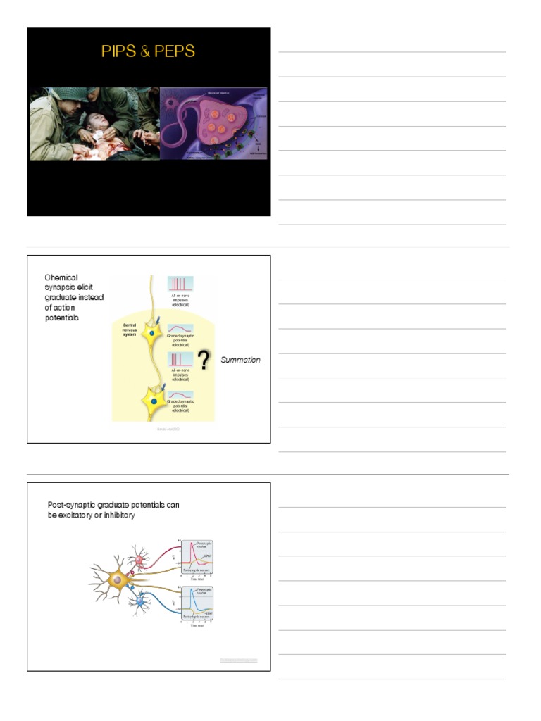 Presentación Pips and Peps | PDF