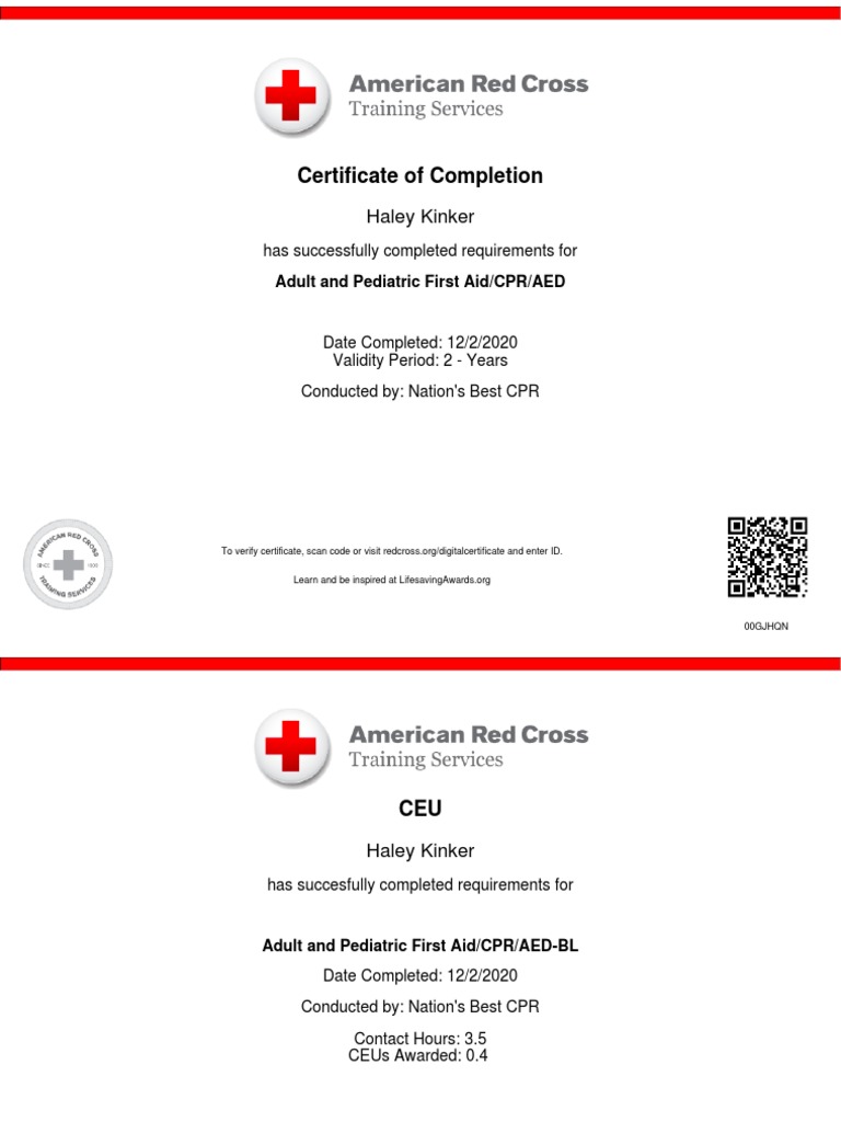 Red Cross Certificate 8 | PDF