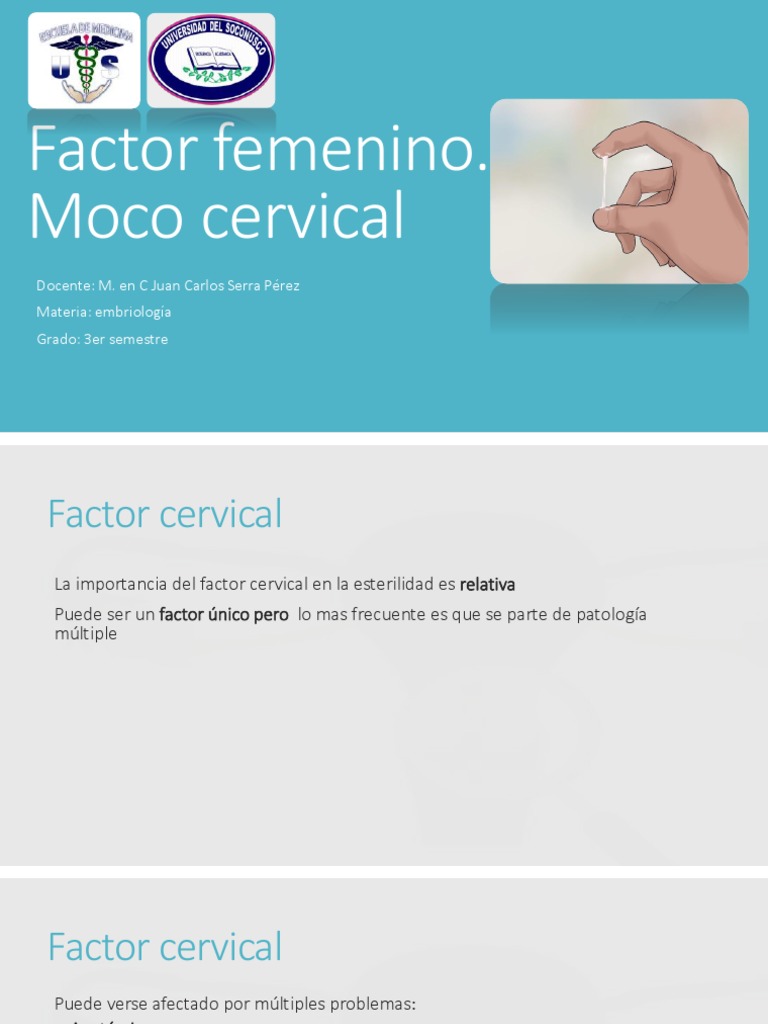 Moco cervical y su rol en la fertilidad | PDF | Ciclo menstrual | Vagina