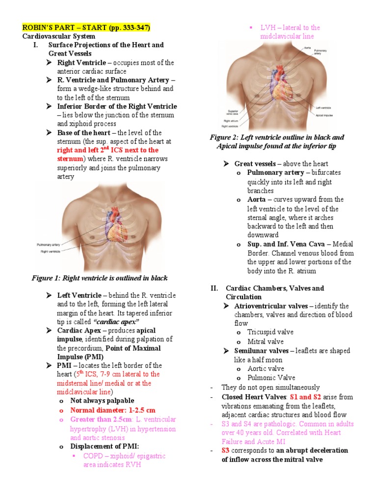 LVH - Lateral To The Midclavicular Line: Right and Left 2 ICS Next To ...