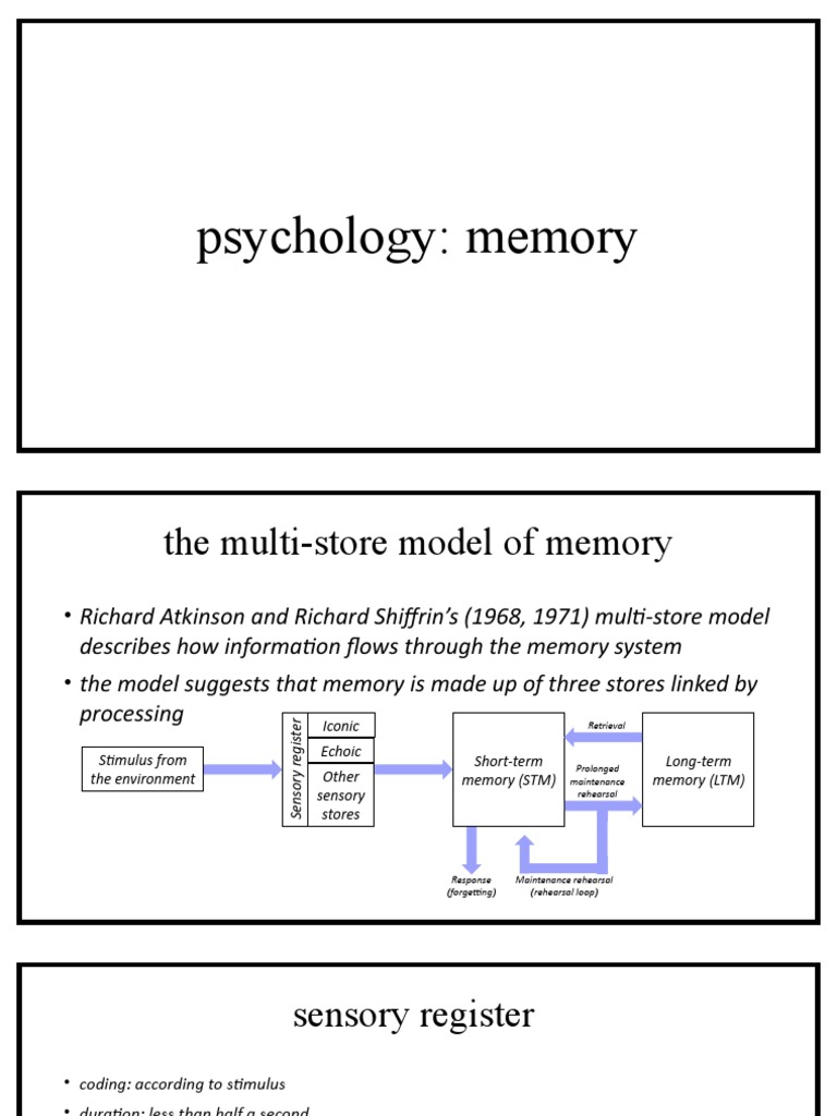 Memory | PDF | Recall (Memory) | Memory