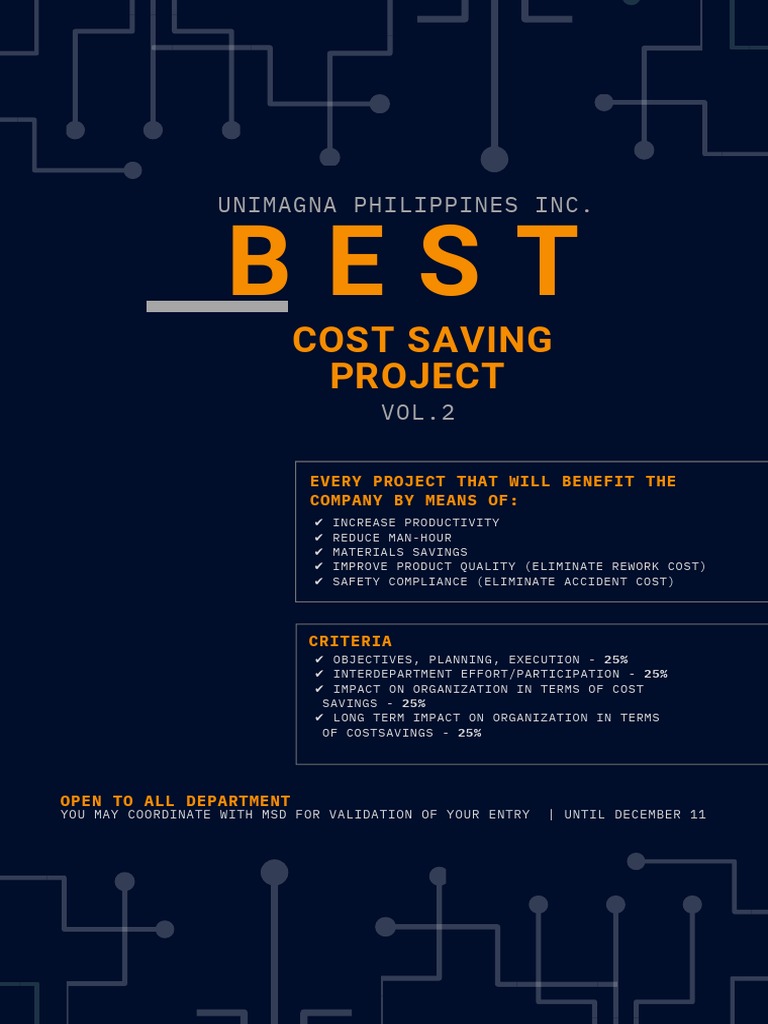 Cost-Saving Project Guidelines | PDF