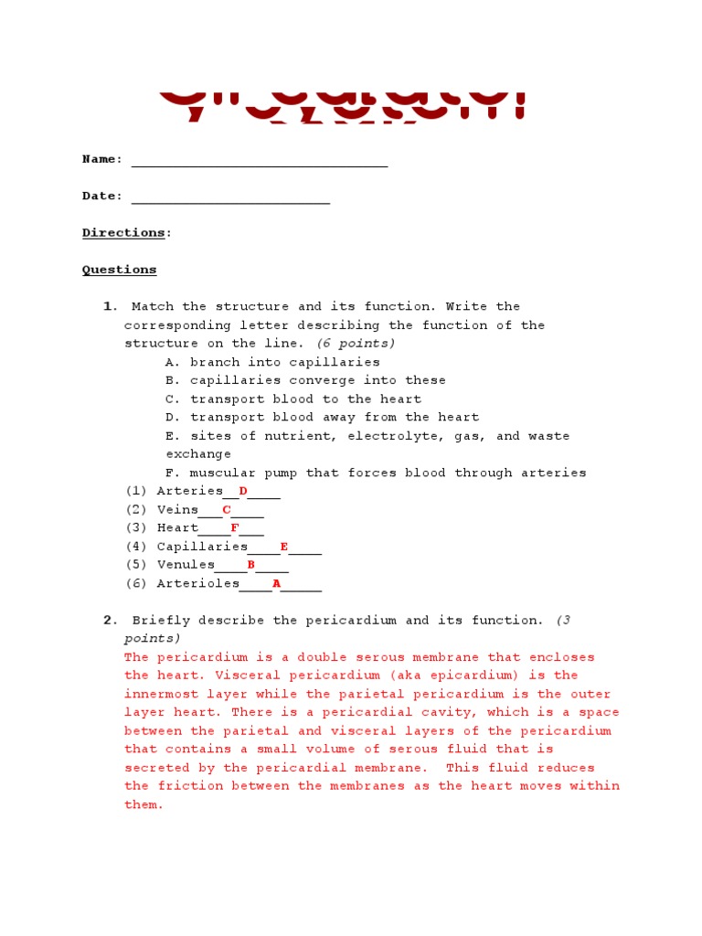 Answer Key Circulatory System Quiz | PDF | Heart | Diastole